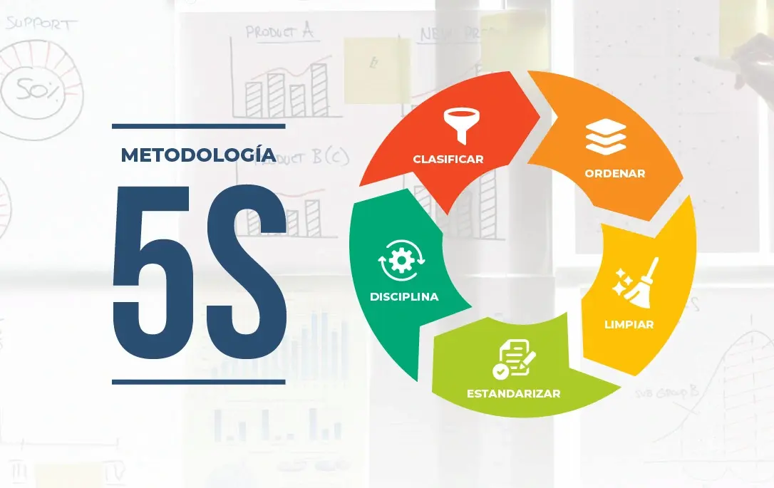 Metodología 5S | Guía Completa para Empresas | Previnnova